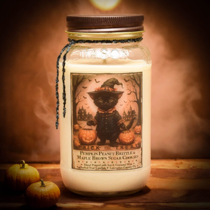 Trick or Treat Mason Jar Candle-24 oz Black Cat Label - Herbal Star Candles