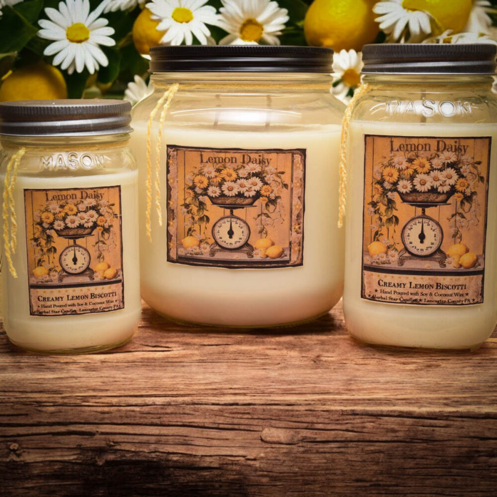 Lemon Daisy Mason Jar Candle - 16 oz - Herbal Star Candles
